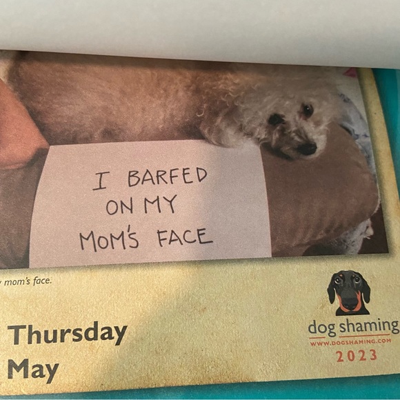 Office | 223 Dog Shaming Daily Calendar | Poshmark